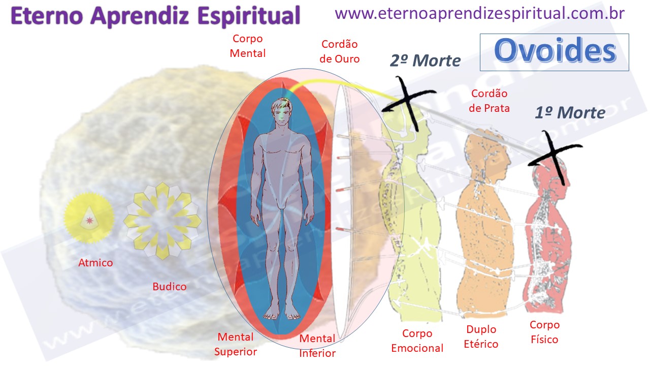 Ovoide – Palestra – Aula 03a – Curso de Apometria Online